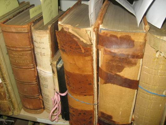 Women in History Month: Meet Jane Ingold – BEHREND BLOG