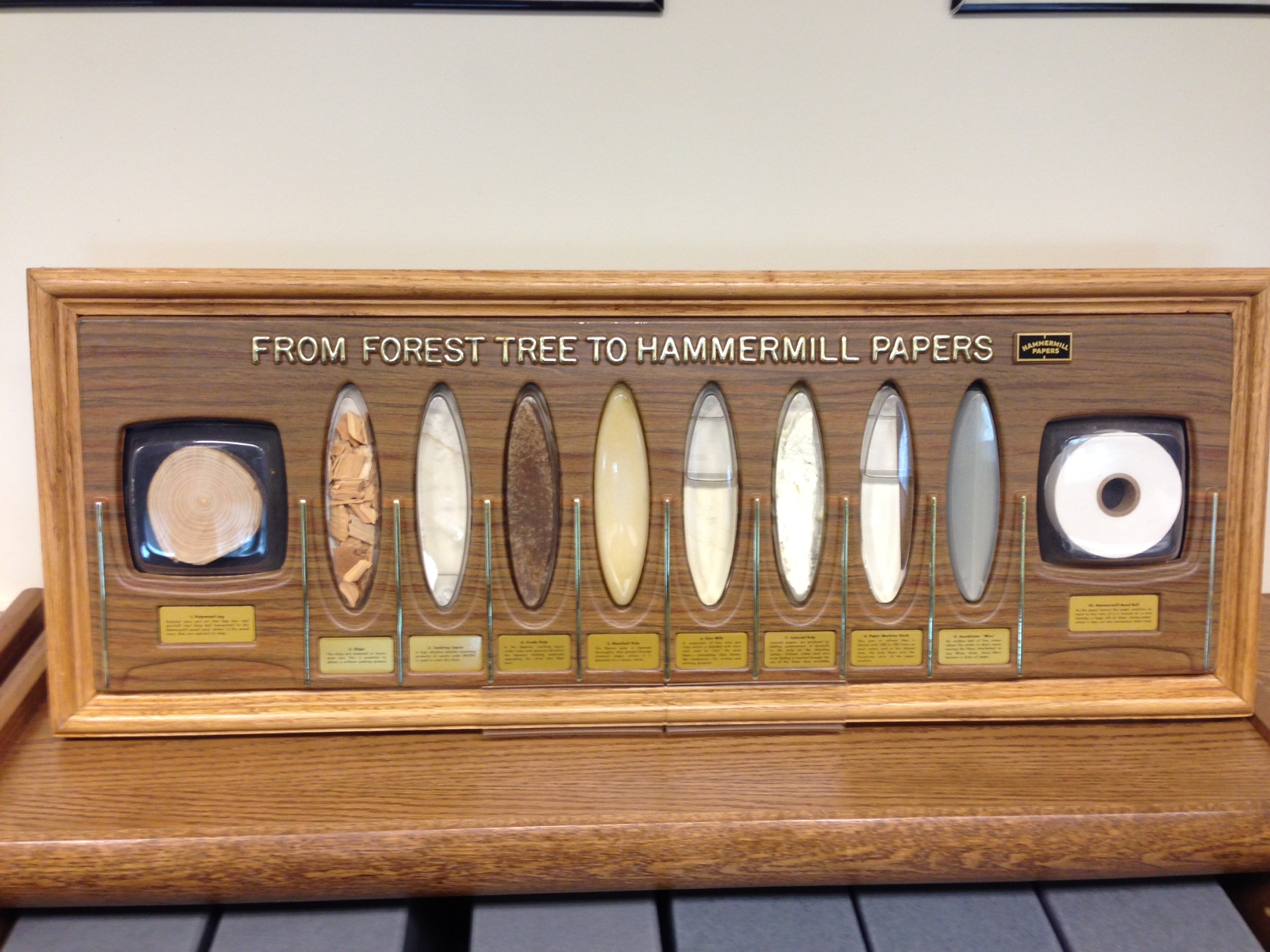 Women in History Month: Meet Jane Ingold – BEHREND BLOG