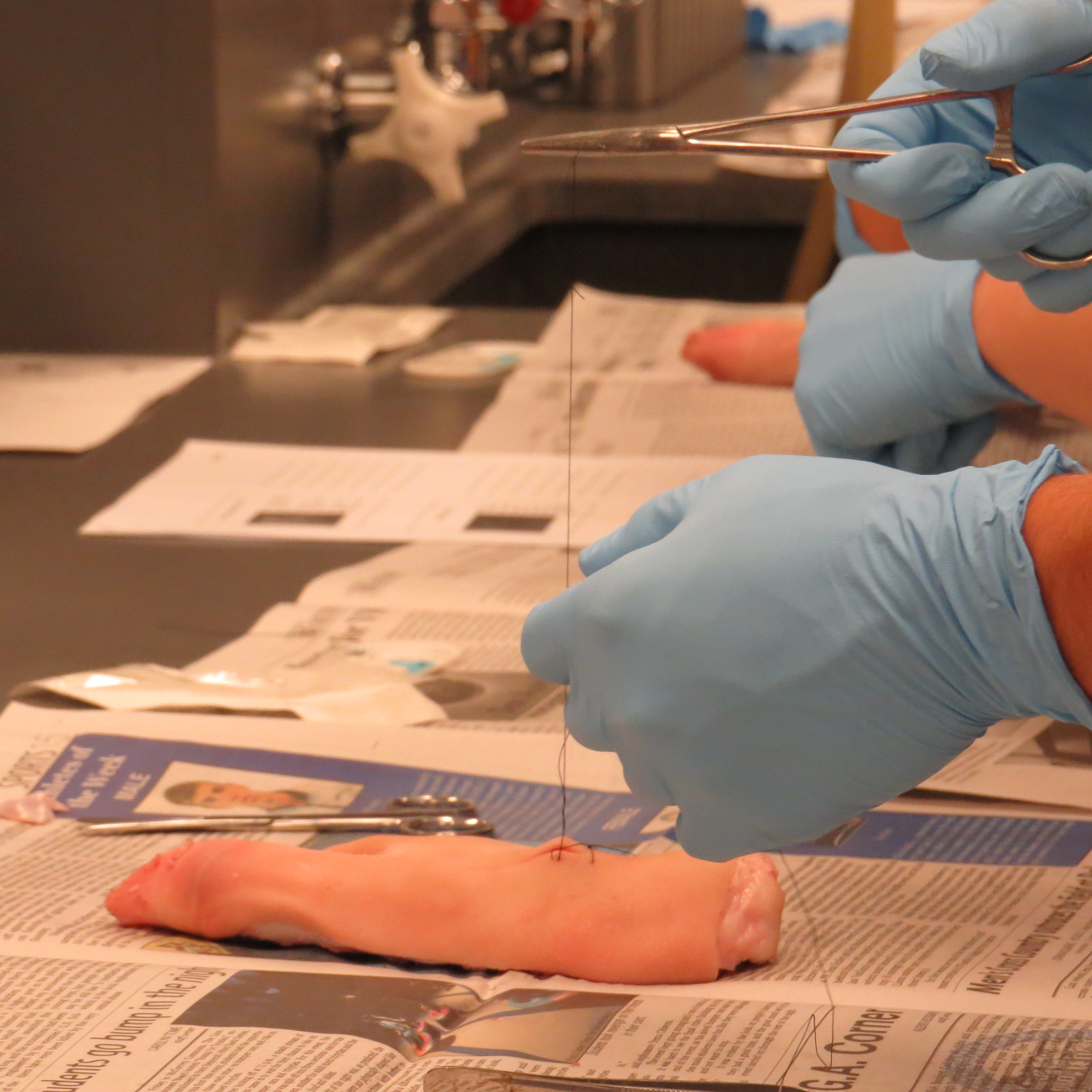 Pre-Health students sew first stitches in medical career – BEHREND BLOG